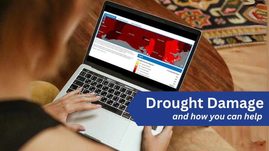 Drought Damage To Homes: What You Need To Know - Jim Olivier's Home ...